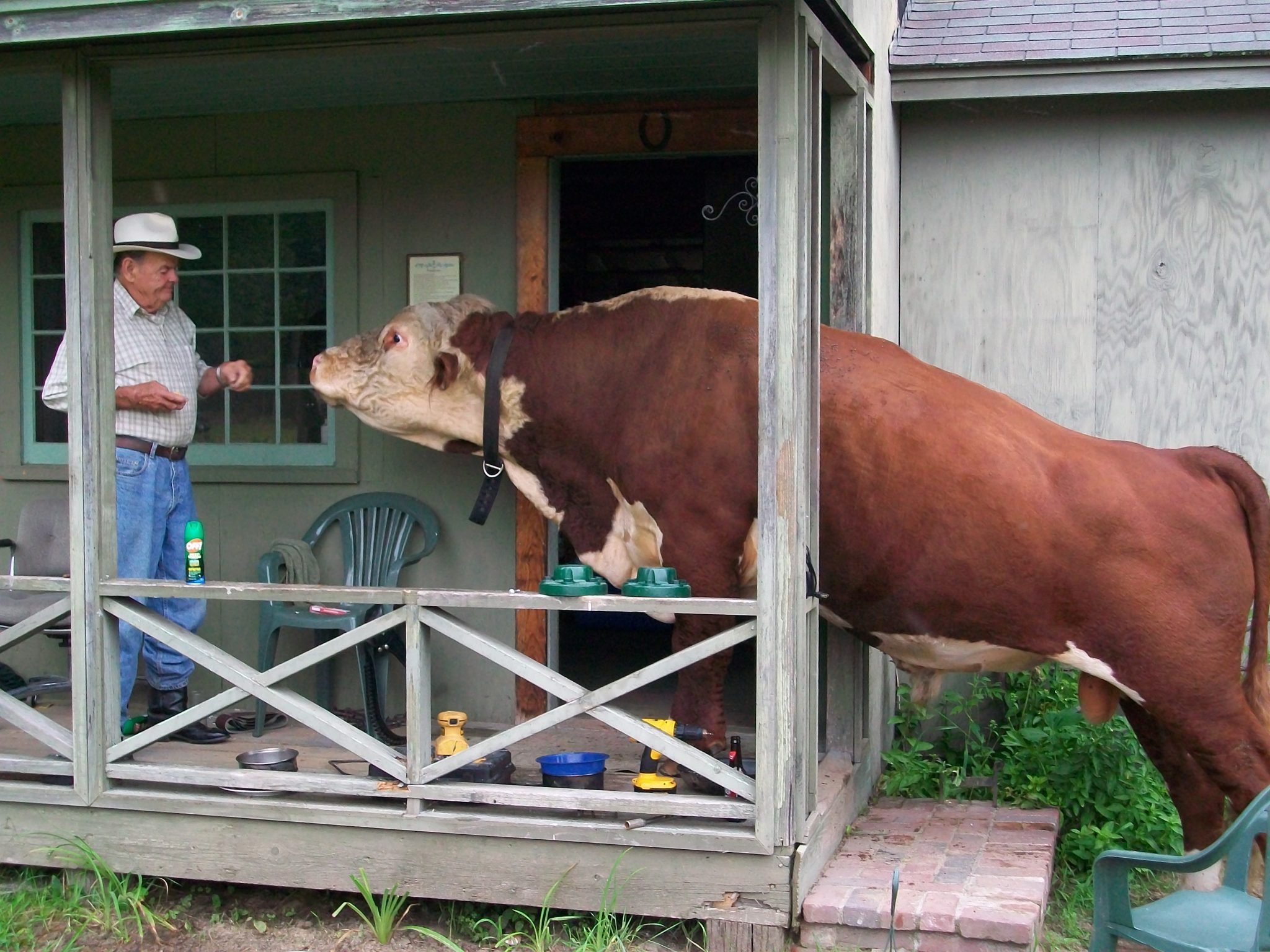 About The Barn - The Barn at Bull Meadow